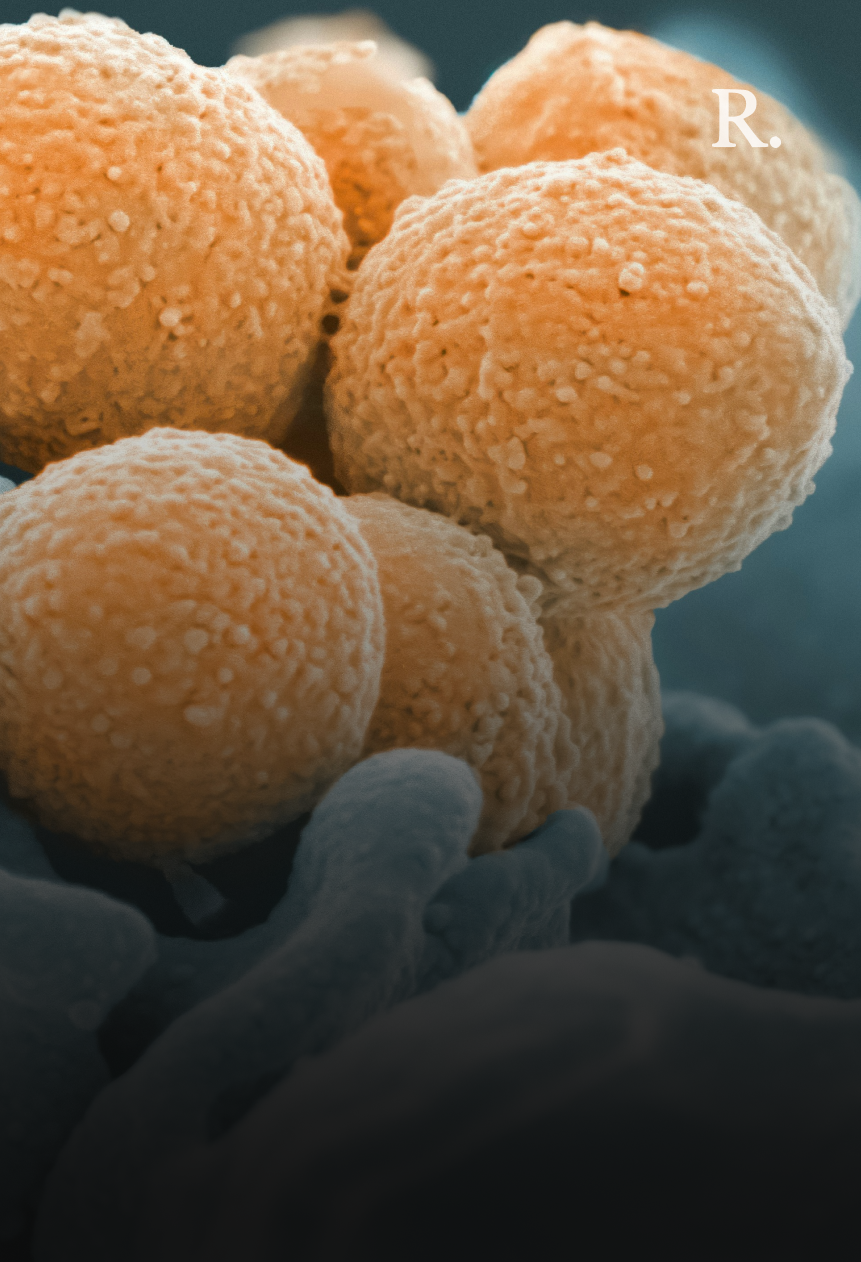 Reviews - Plataforma de Revisões Médicas